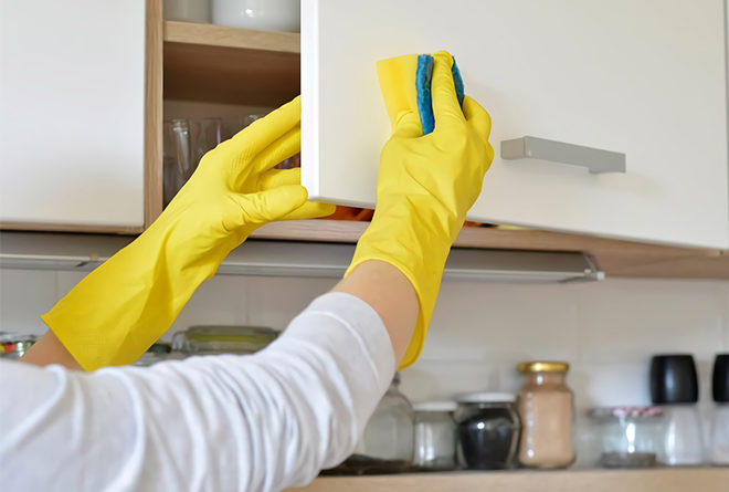 Kitchen Deep Cleaning: A Guide to Hygiene and Maintenance - Biz Tips Tricks
